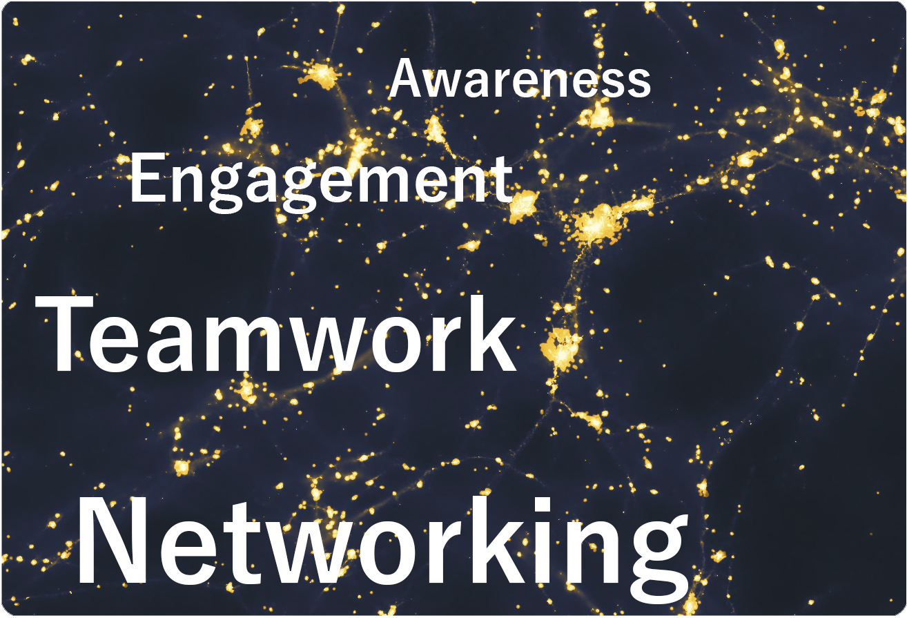 Training – The Transformation Society